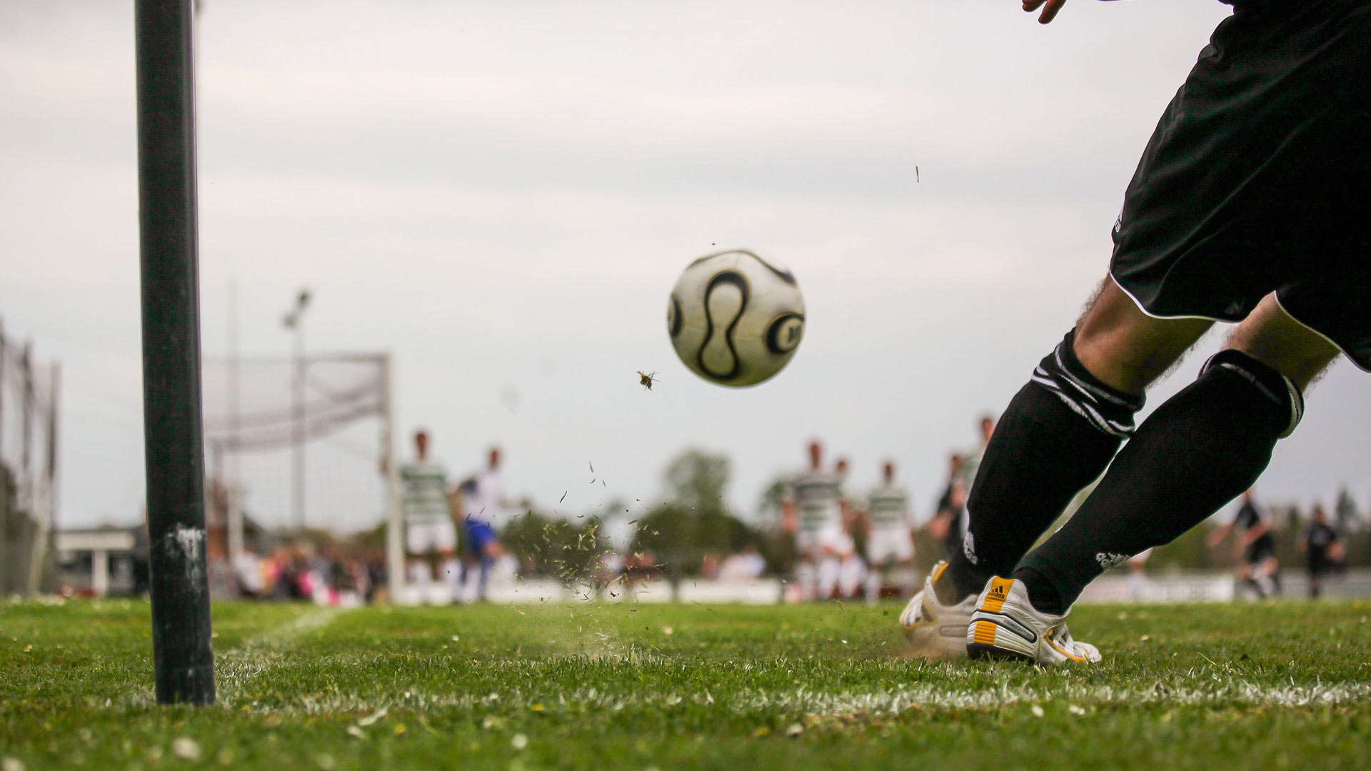 Playing to your strengths – on and off the field | Blog | MPS